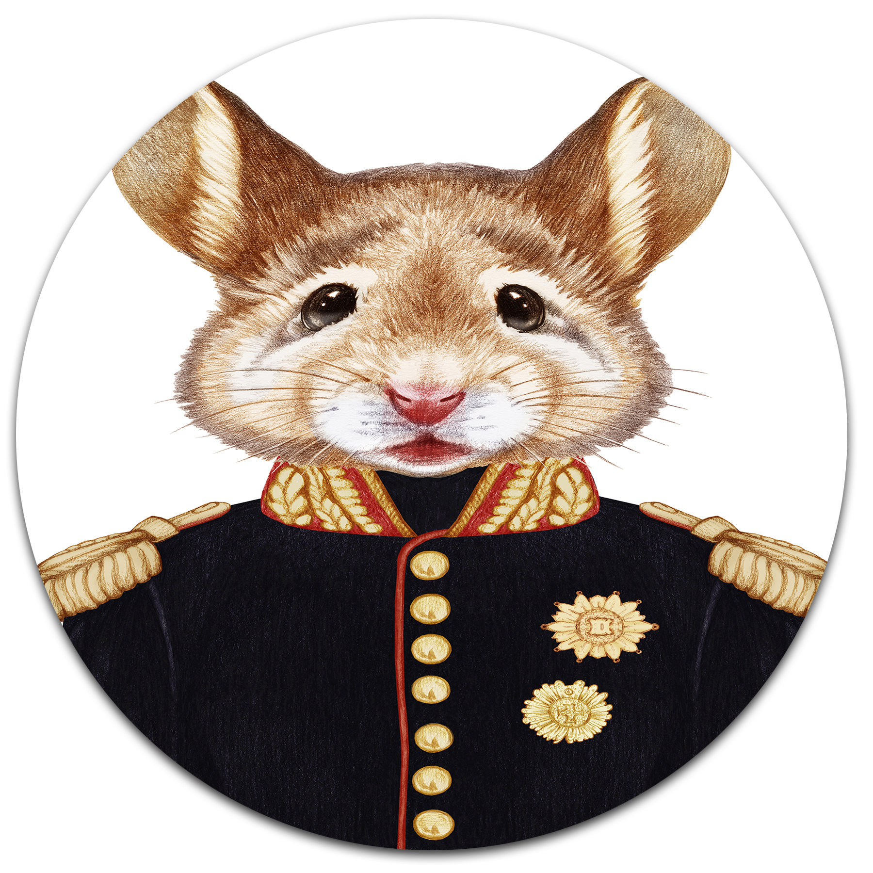 Design Art 'Mouse in Military Uniform' Graphic Art Print on Metal ...