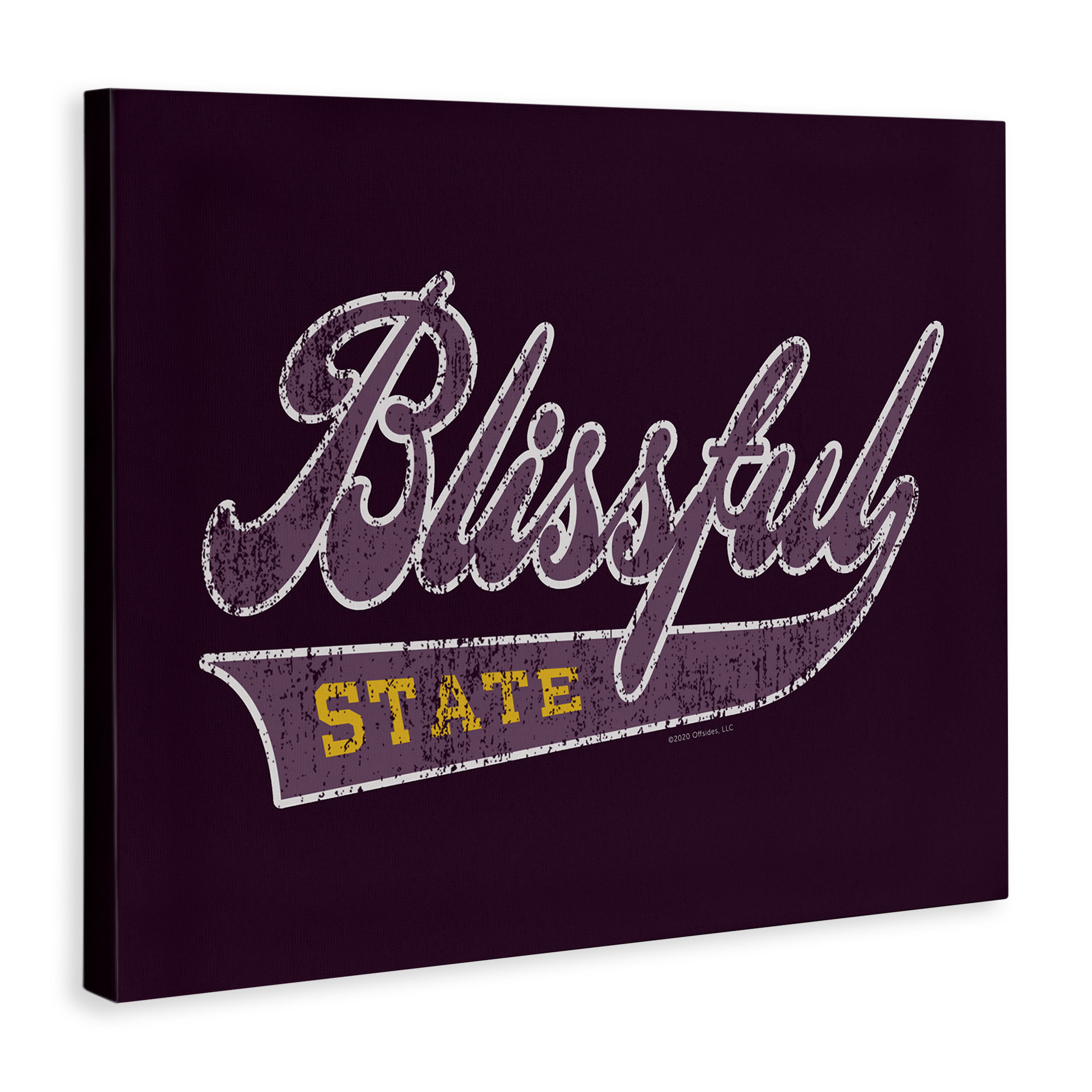 Trinx Blissful State Varsity Canvas Wall Art by Higher Learning/Life Is ...