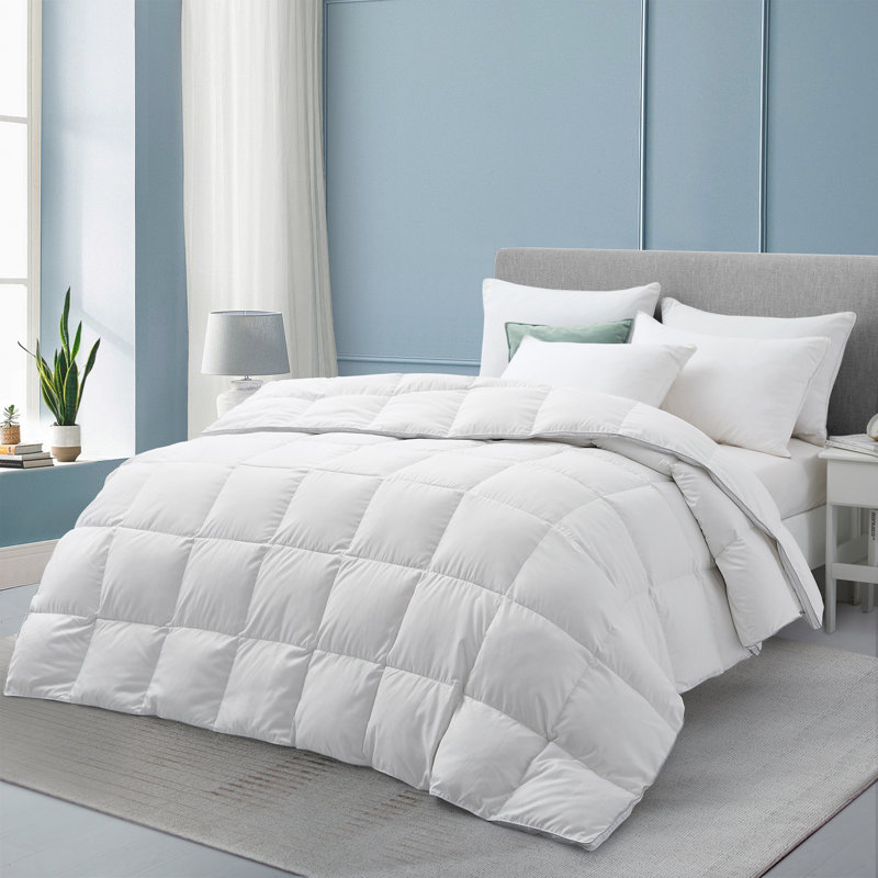 Alwyn Home 600in³/oz Fill Power All Season Goose Down Comforter ...