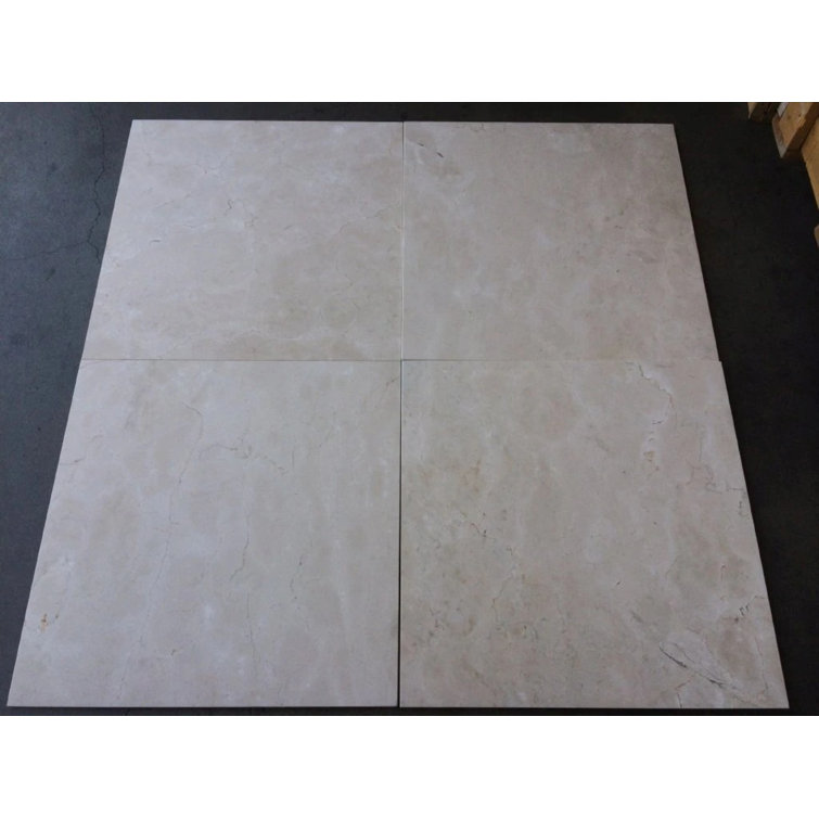 Stone & Tile Shoppe, Inc. 12" x 24" Marble Marble Look Wall & Floor ...
