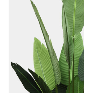 Primrue 83'' Faux Banana Leaf Tree in Pot & Reviews | Wayfair