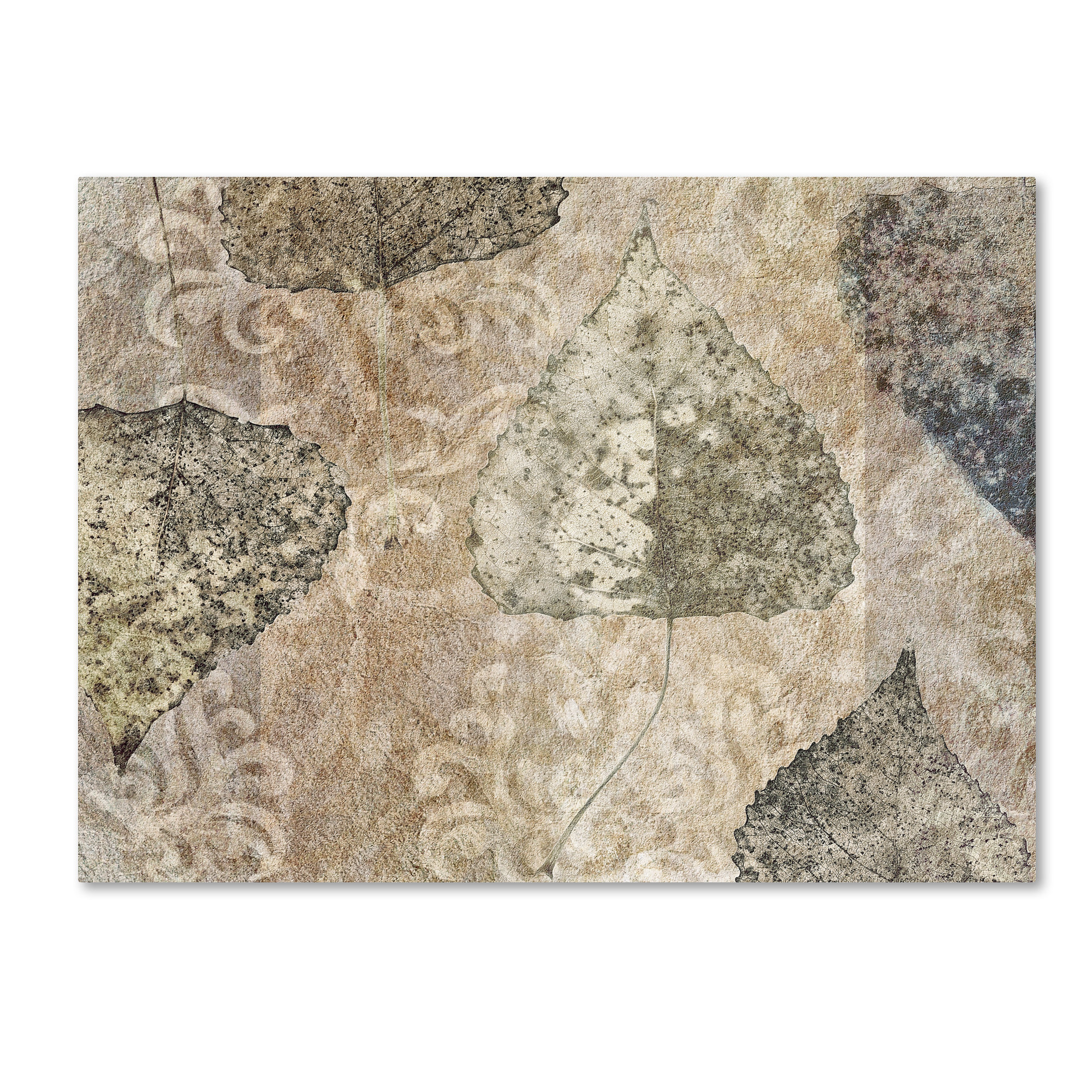 Winston Porter " Autumn Leaves Birch " by Cora Niele | Wayfair