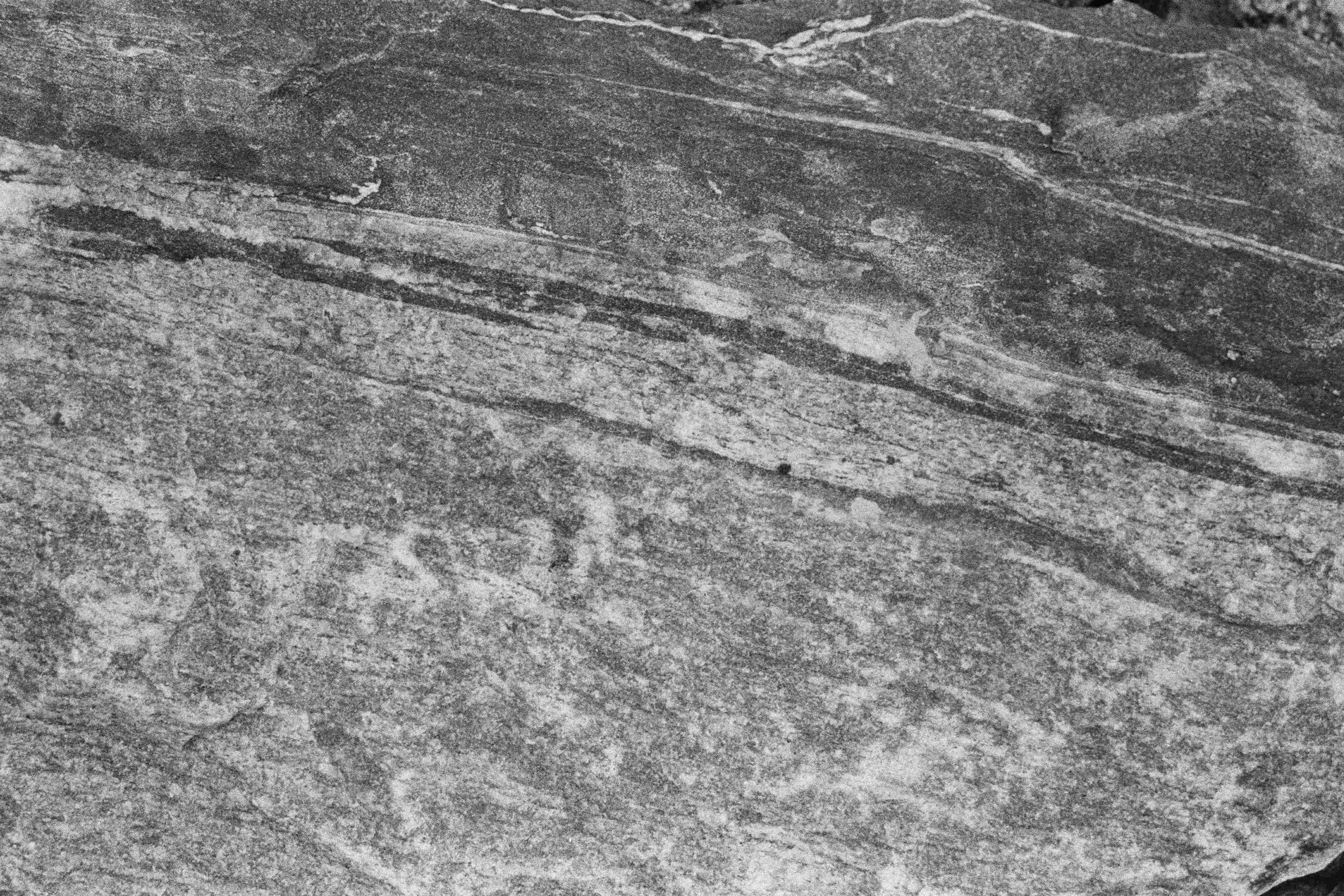 17 Stories Found Textures VIII by - Wrapped Canvas Print - Wayfair Canada