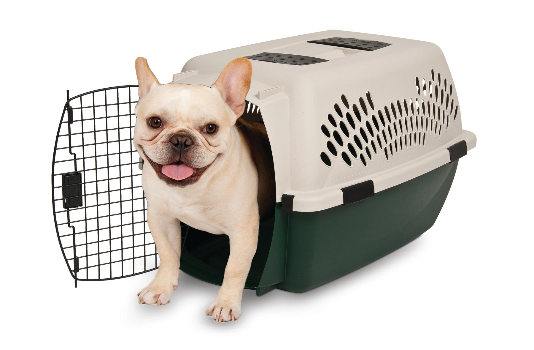 Ruff Maxx Plastic Pet Carrier with 1 Door & Reviews | Wayfair