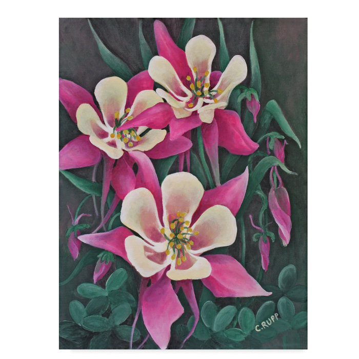 Bay Isle Home Pretty In Pink Flowers On Canvas by Carol J Rupp Print ...