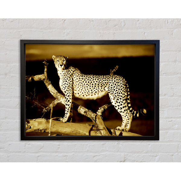 Bright Star Leopard Perch Sepia - Single Picture Frame Art Prints on ...