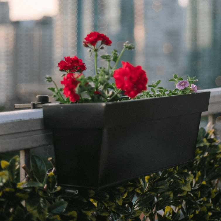 Latitude Run® Adjustable Railing Planter - Wayfair Canada