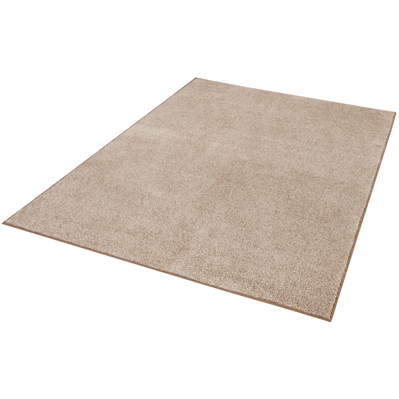 Hanse Home Pure Taupe/Cream Rug & Reviews | Wayfair.co.uk
