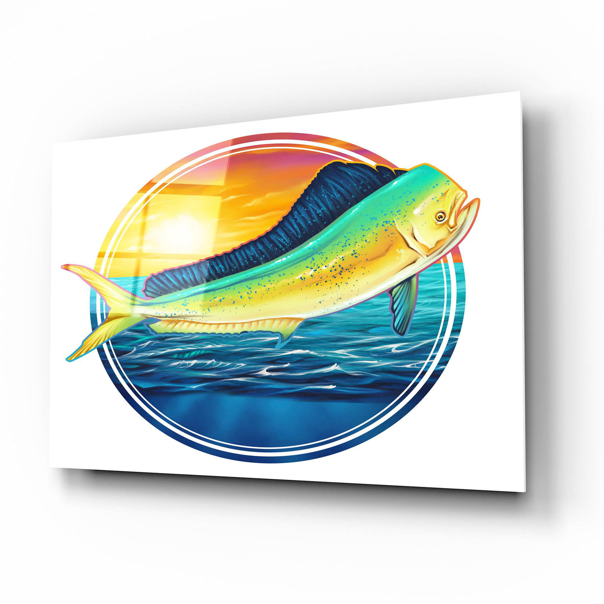Dovecove Dolphin Fish Illustration On Plastic / Acrylic by Flyland ...