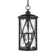 Charlton Home® Olaughlin 3 - Light Outdoor Hanging Lantern | Wayfair