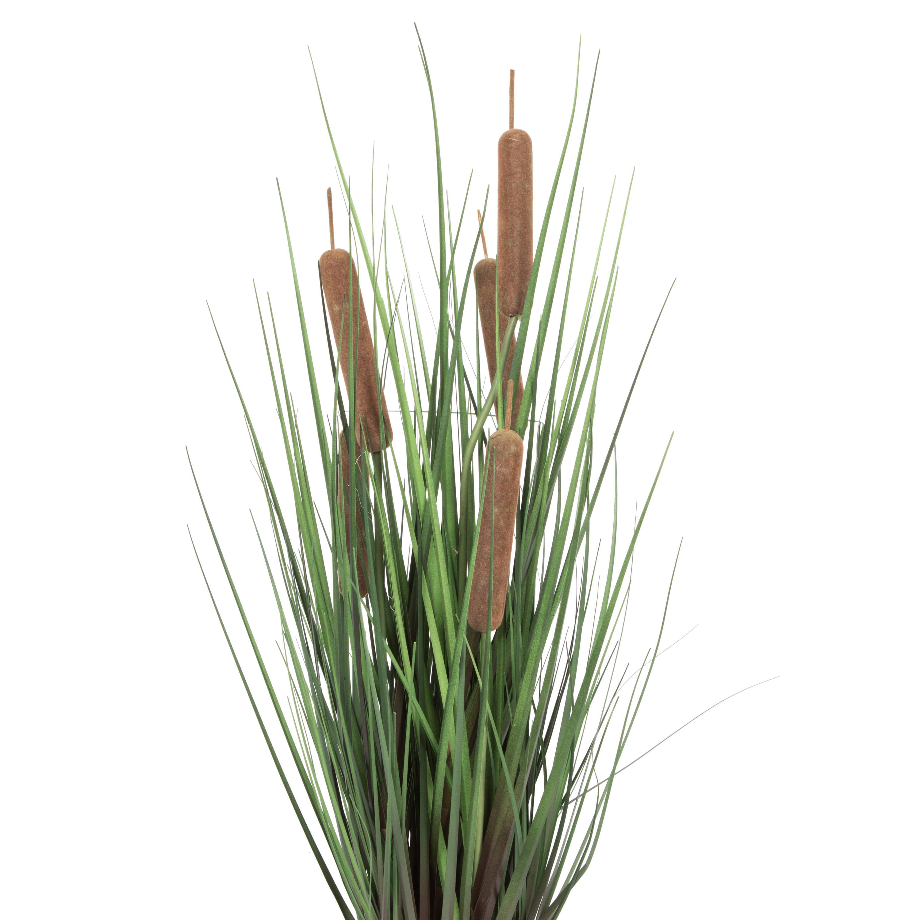 Primrue Artificial Potted Green Straight Grass and Cattails. & Reviews ...