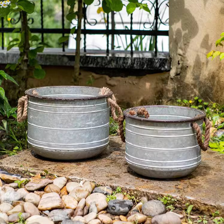 Rosalind Wheeler Metal Bucket | Wayfair