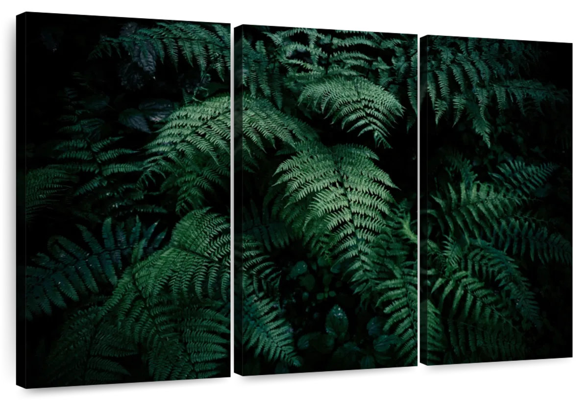 Lark Manor™ Harnek Verdant Ferns | Wayfair
