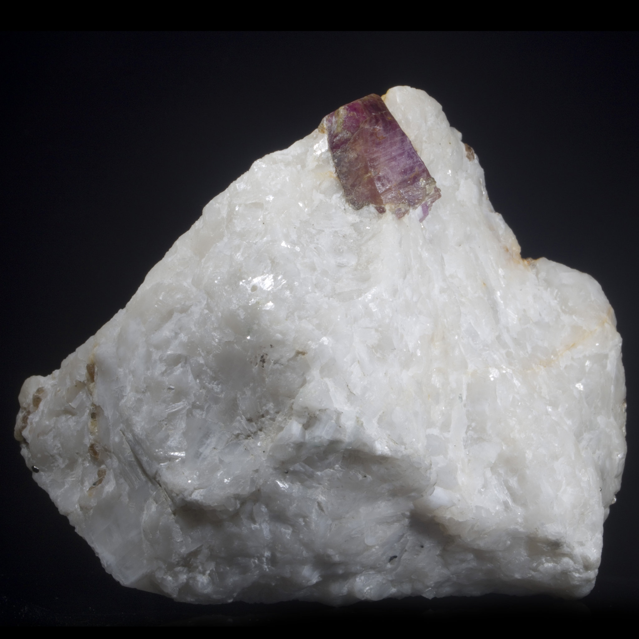 Studio Mineralia Ruby in Marble. Pakistan. | Wayfair