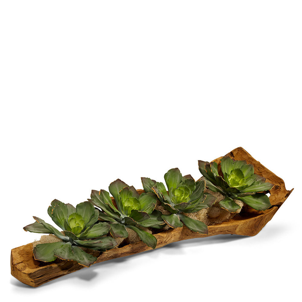 T&C Floral Company Echeveria in Hand Wood Carved Log | Perigold