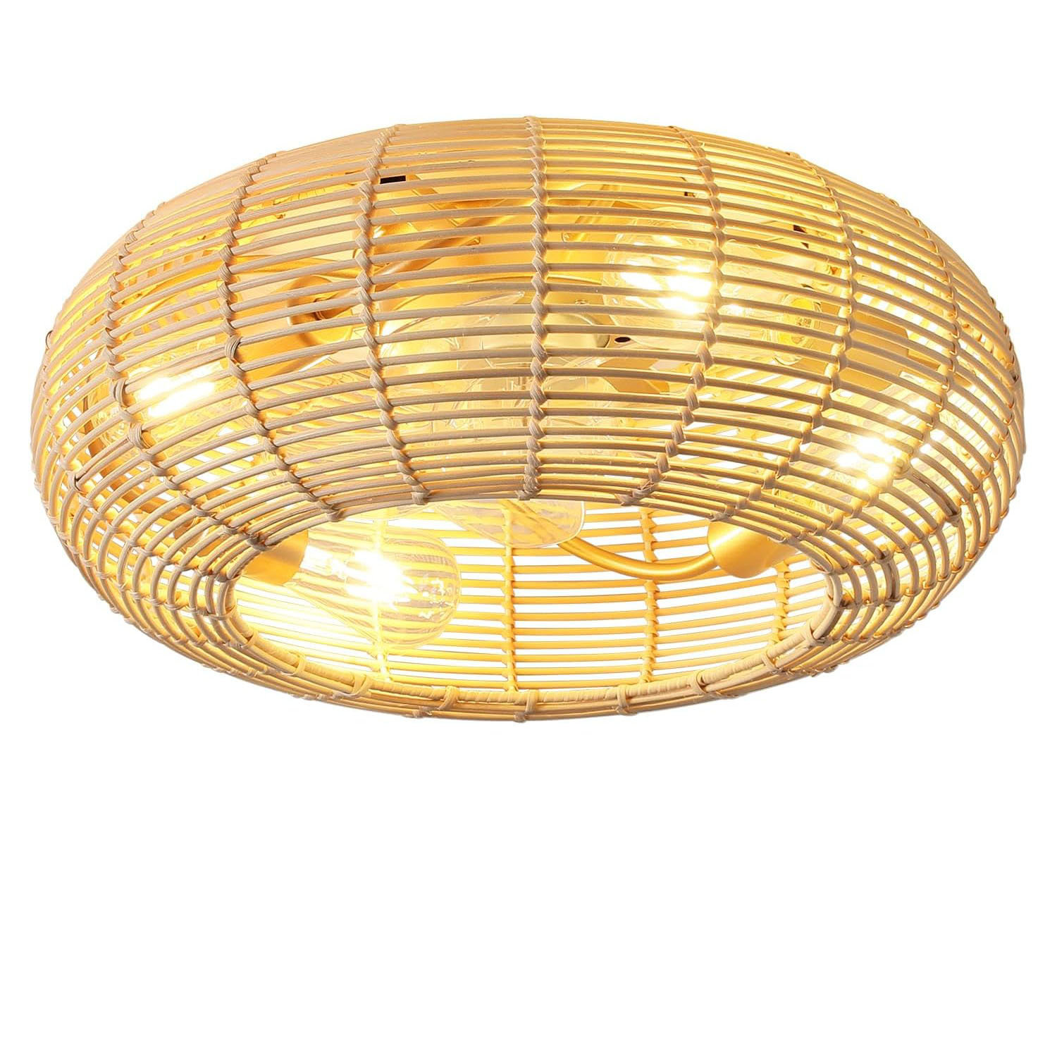 INKEDZ 20 inch Caged Ceiling Fan with Light and Remote, Boho Ceiling ...