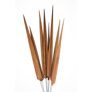 Distinctive Designs Decorative Blade Bundles of Tan Stems (48 Stems ...