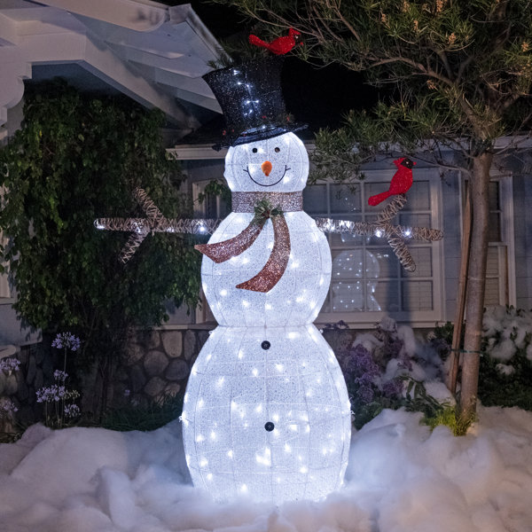 The Holiday Aisle® Snowman Lighted Display & Reviews | Wayfair