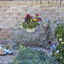 Red Barrel Studio® Jordana Cocker Spaniel Stone Garden Bench & Reviews ...