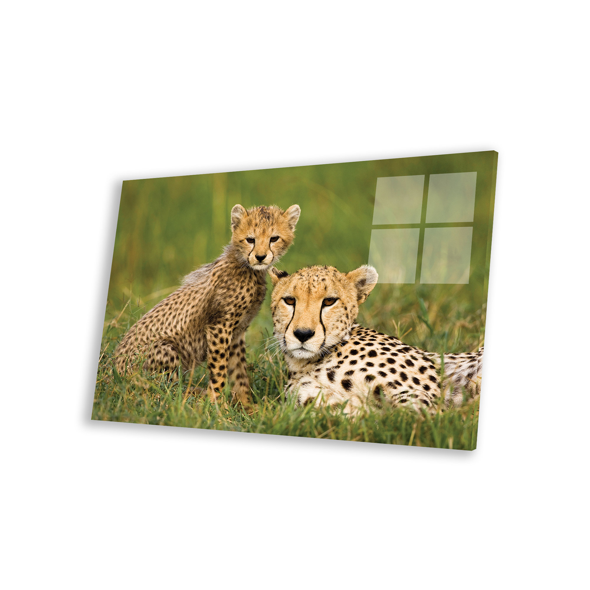 Latitude Run® Ibo Cheetah (Acinonyx Jubatus) With Cub, Masai Mara Game ...