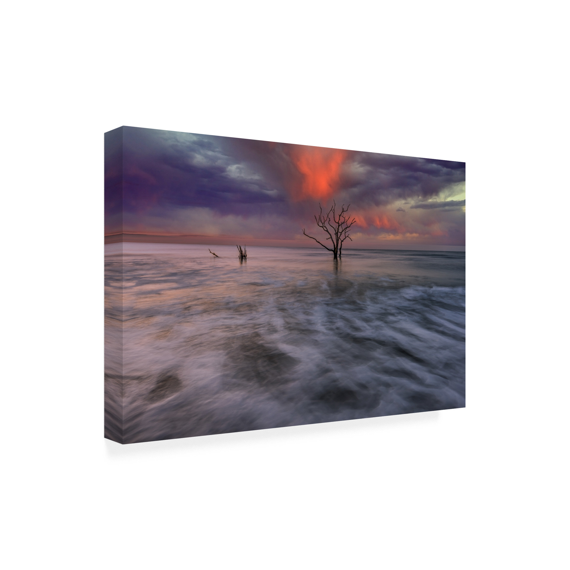Highland Dunes Wrapped Canvas Wall Art - Jon Evan 'Sunset Over Botany ...