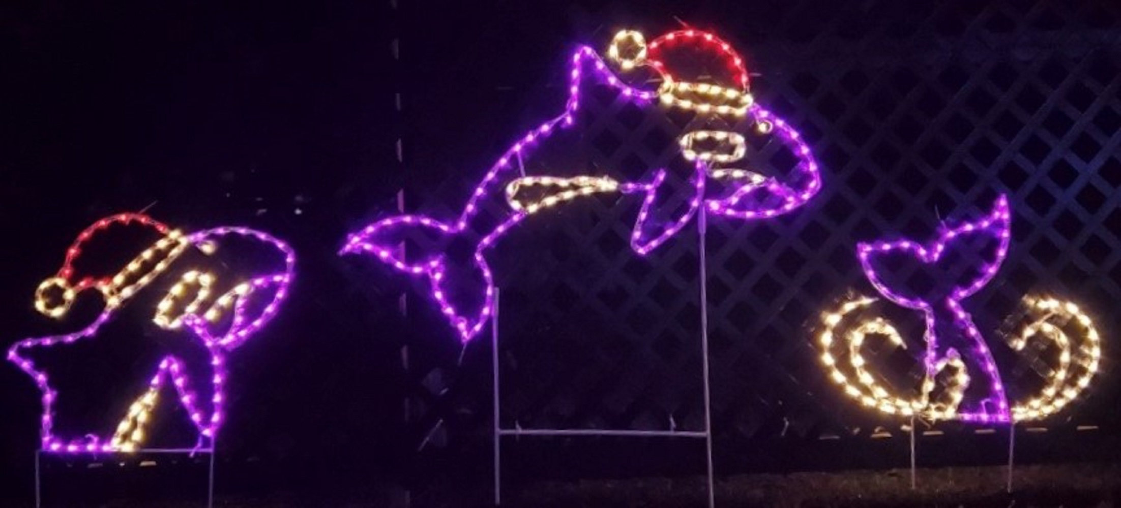 Lori's Lighted D'Lites Animated Jumping Orca with Santa Hat Christmas ...