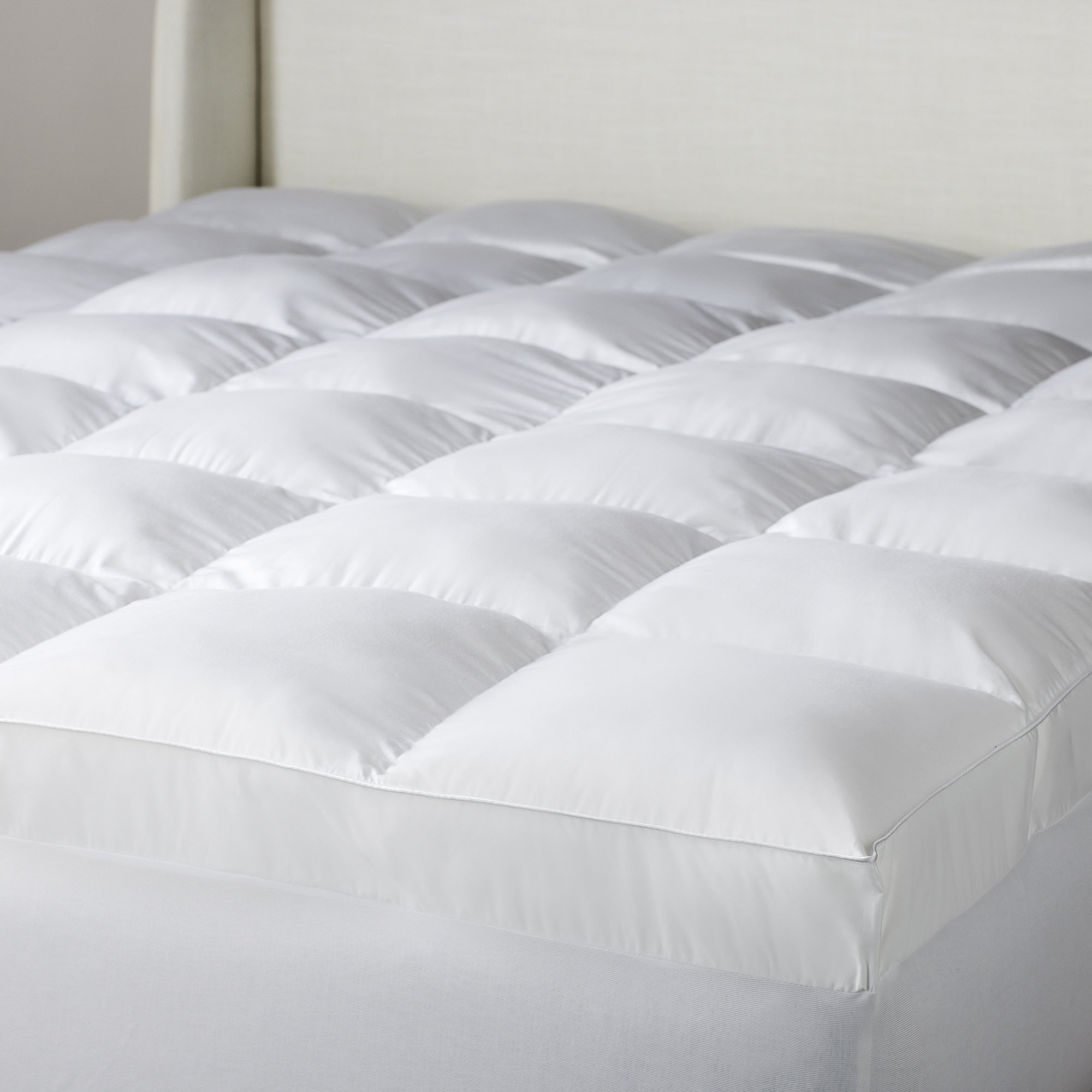 RE/FINE™ Terron Down Mattress Topper & Reviews | Birch Lane