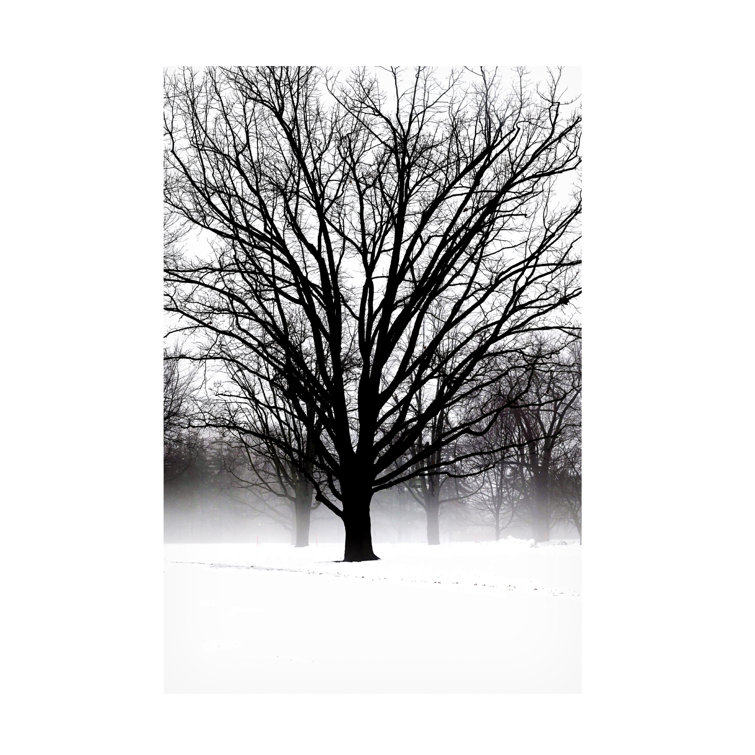 Winston Porter Kriztian High Contrast Tree In Winter On Canvas by Clive ...