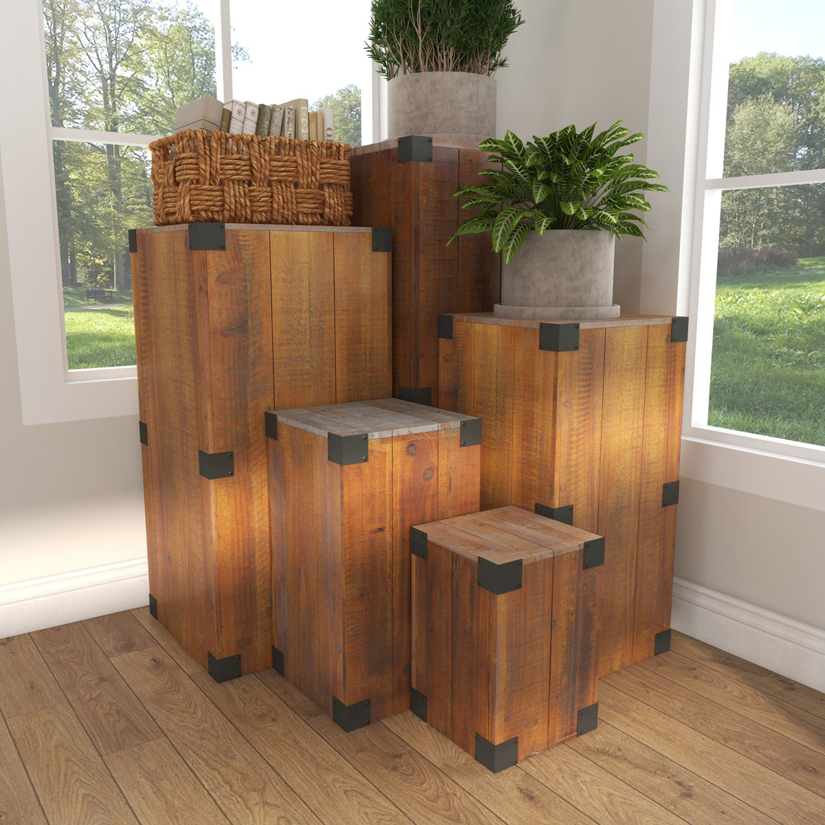 Gracie Oaks Harland 5 Piece Pedestal Plant Stand Set & Reviews ...