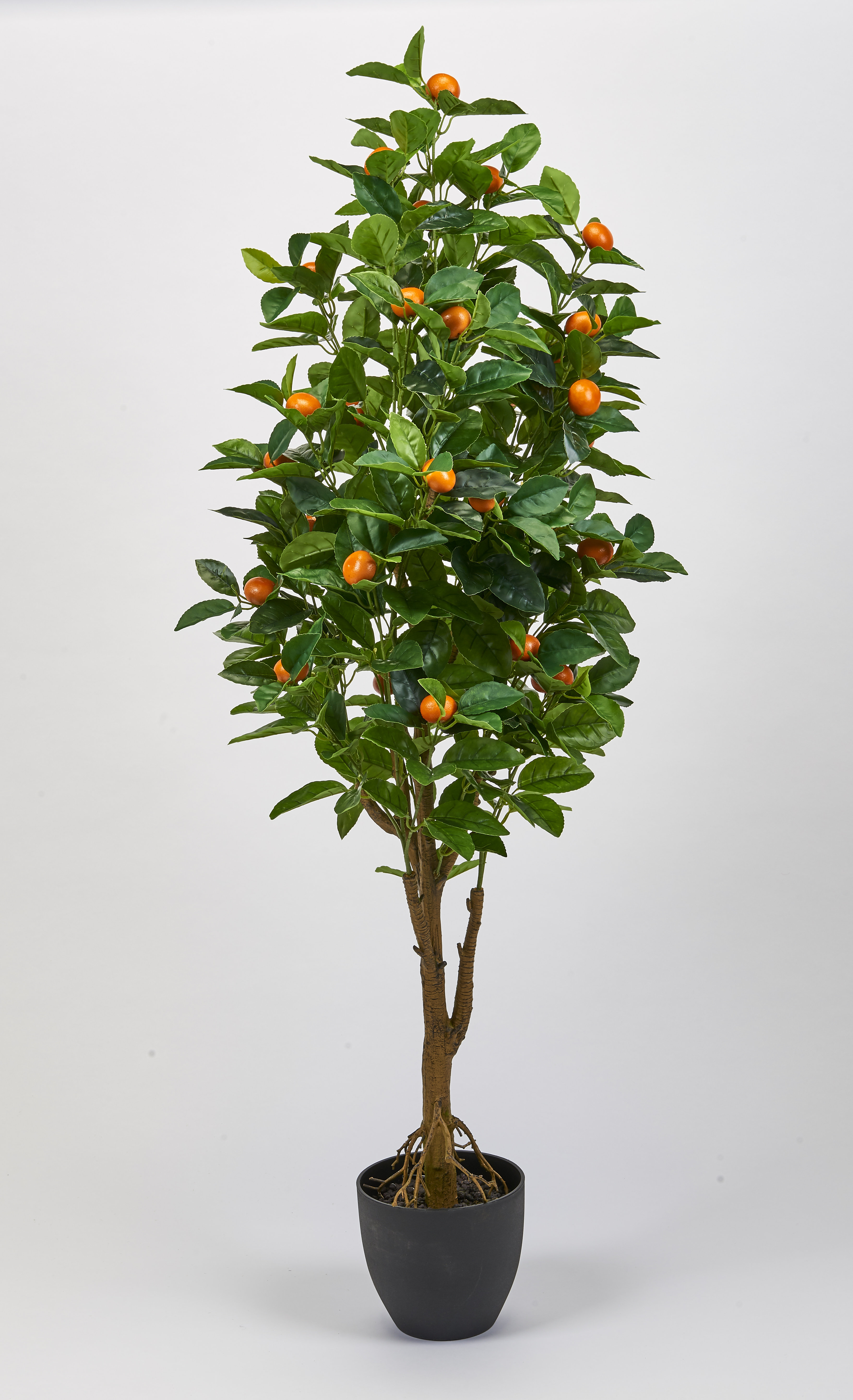 August Grove® Arbre à ficus en pot Real Touch Orange & Reviews ...