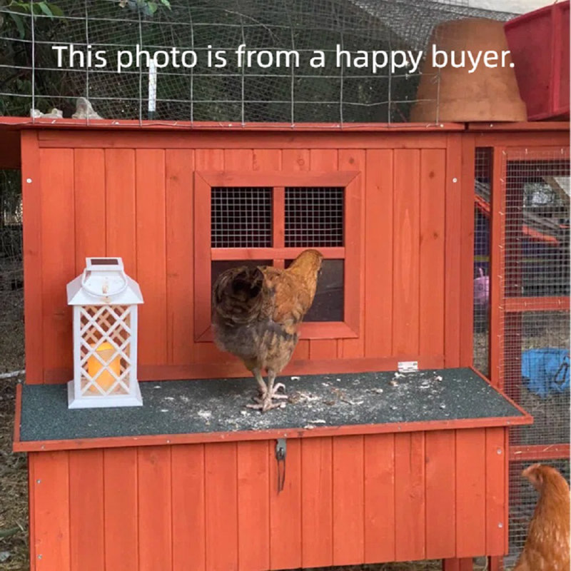 Tucker Murphy Pet™ Daliyah 18.2 ft² Chicken Coop with Chicken Run | Wayfair
