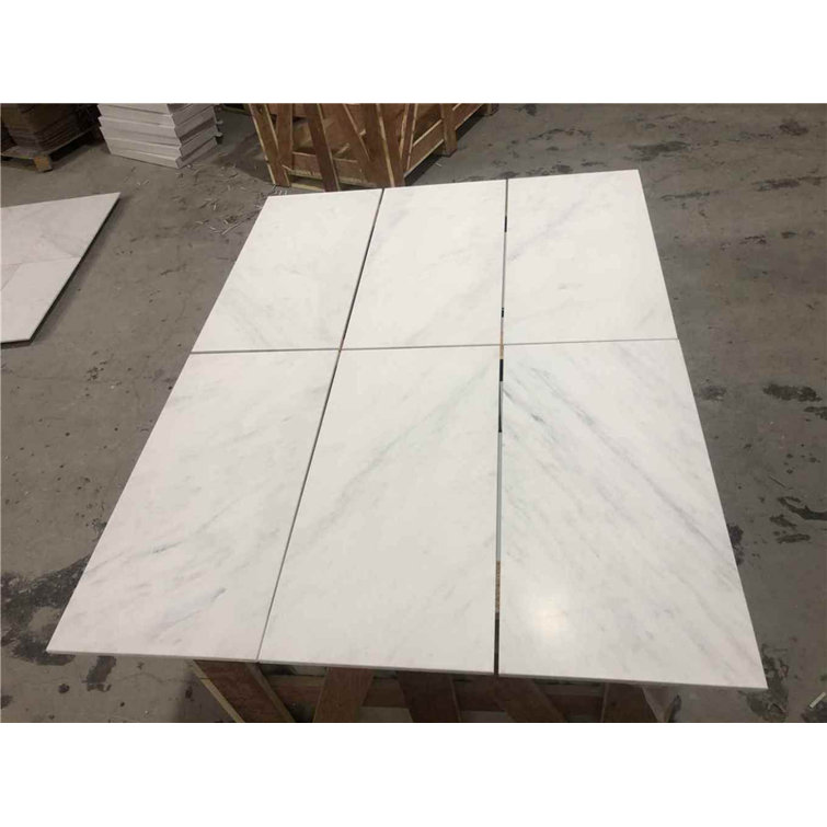 Stone & Tile Shoppe, Inc. 24" x 24" Marble Marble Look Wall & Floor ...