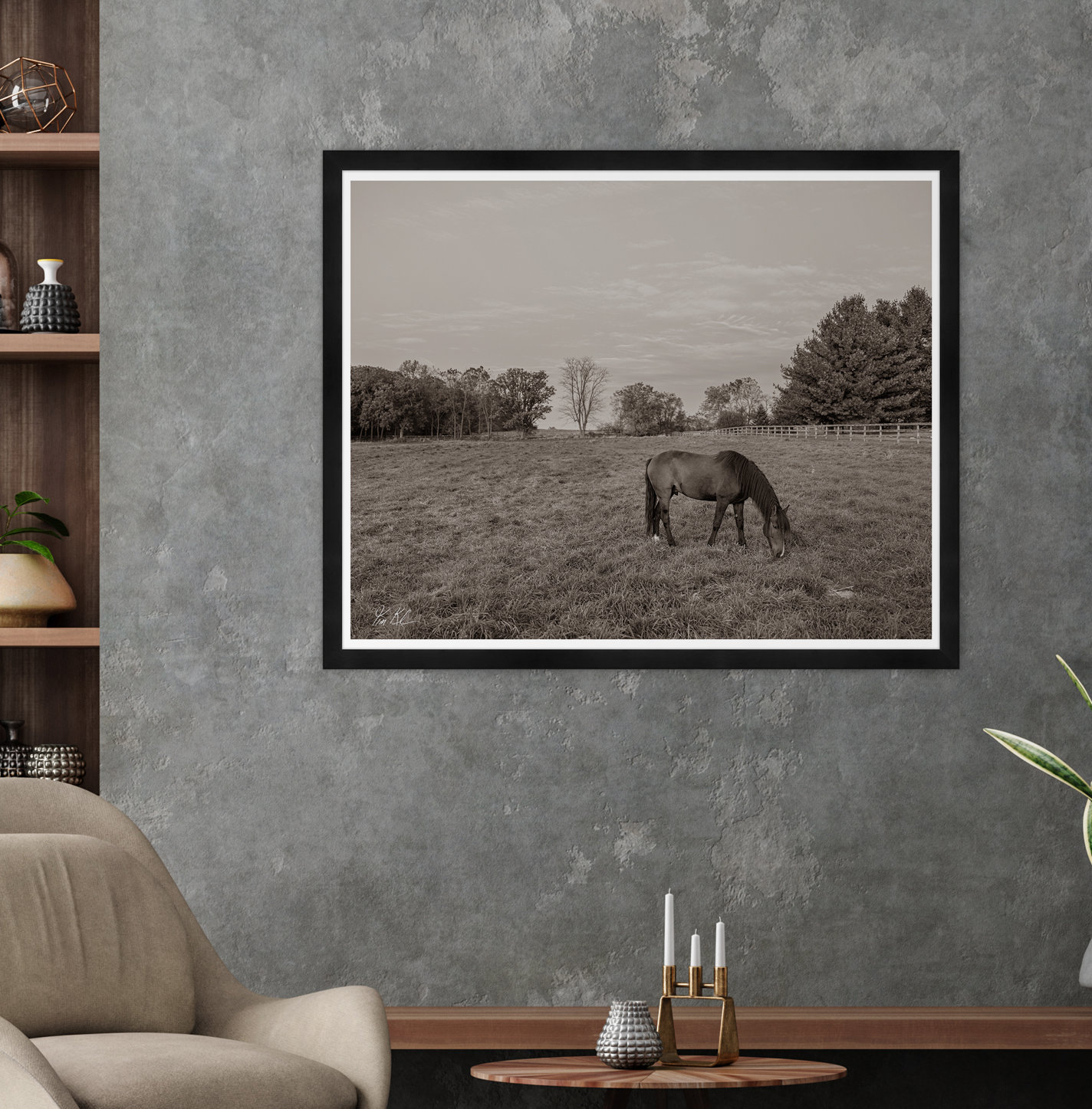 Tim Klein Photography Grazing I by Tim Klein - Picture Frame Photograph ...