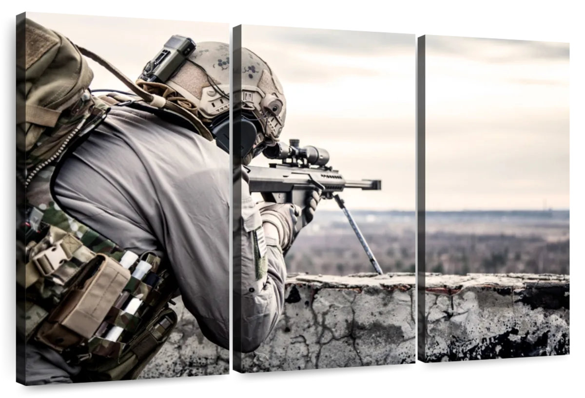 Latitude Run® US Army Sniper - Wayfair Canada