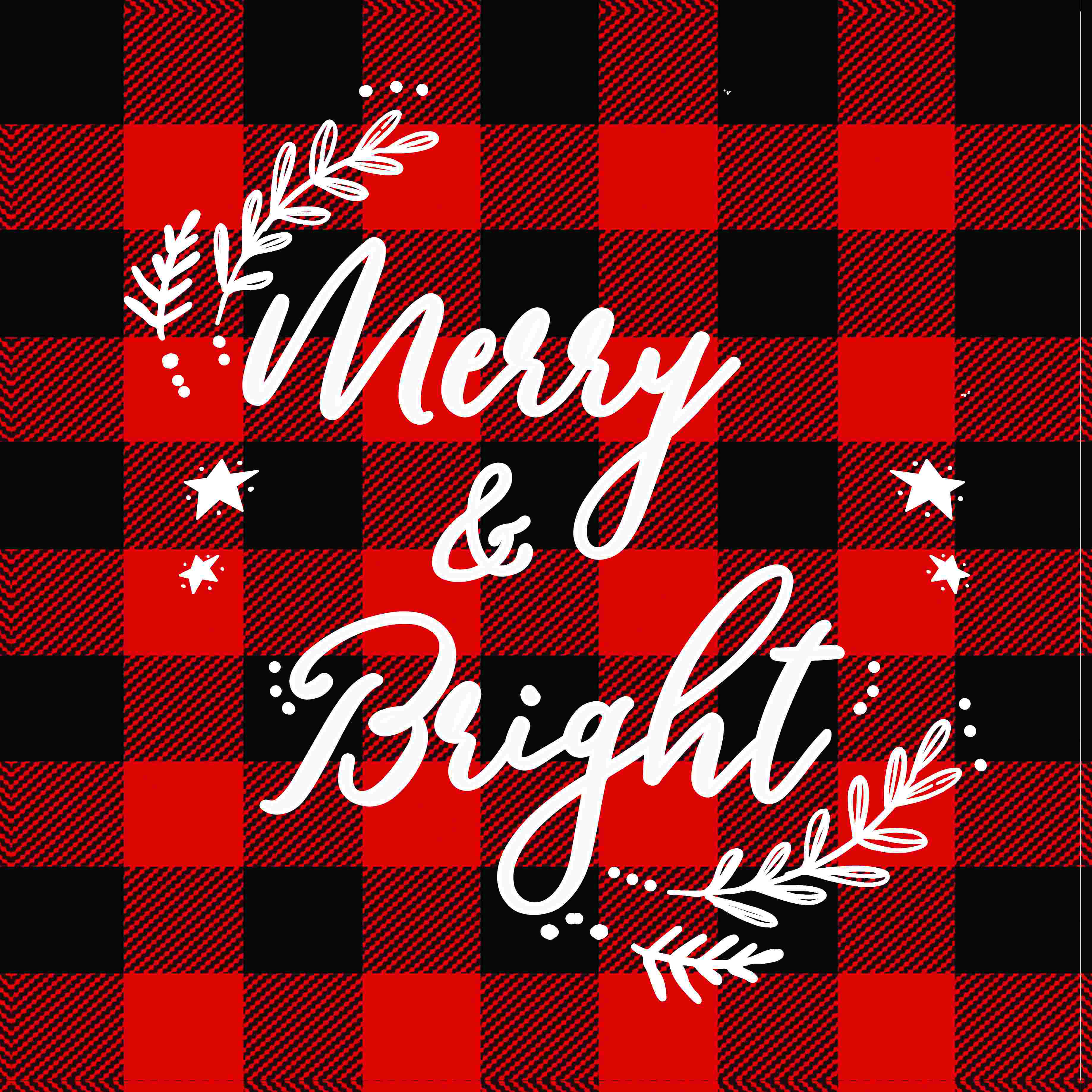 The Holiday Aisle® Merry Bright Buff Check - Wayfair Canada