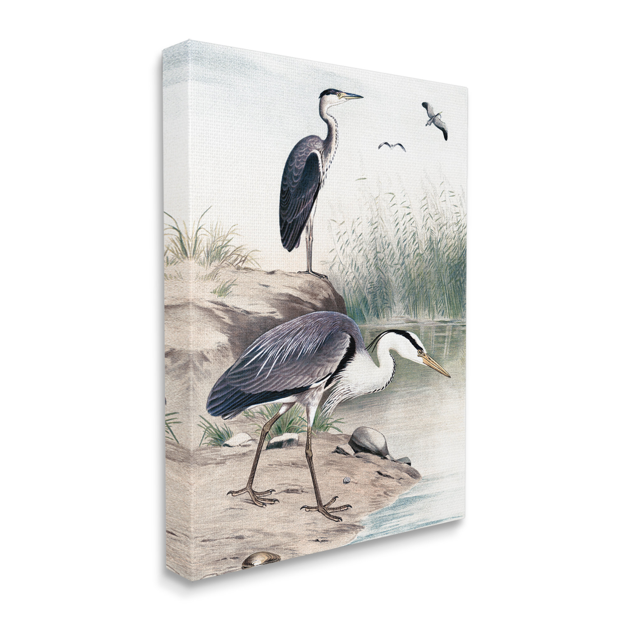 Stupell Industries Heron Birds on Lake Shore Pampas Grass Nature by ...