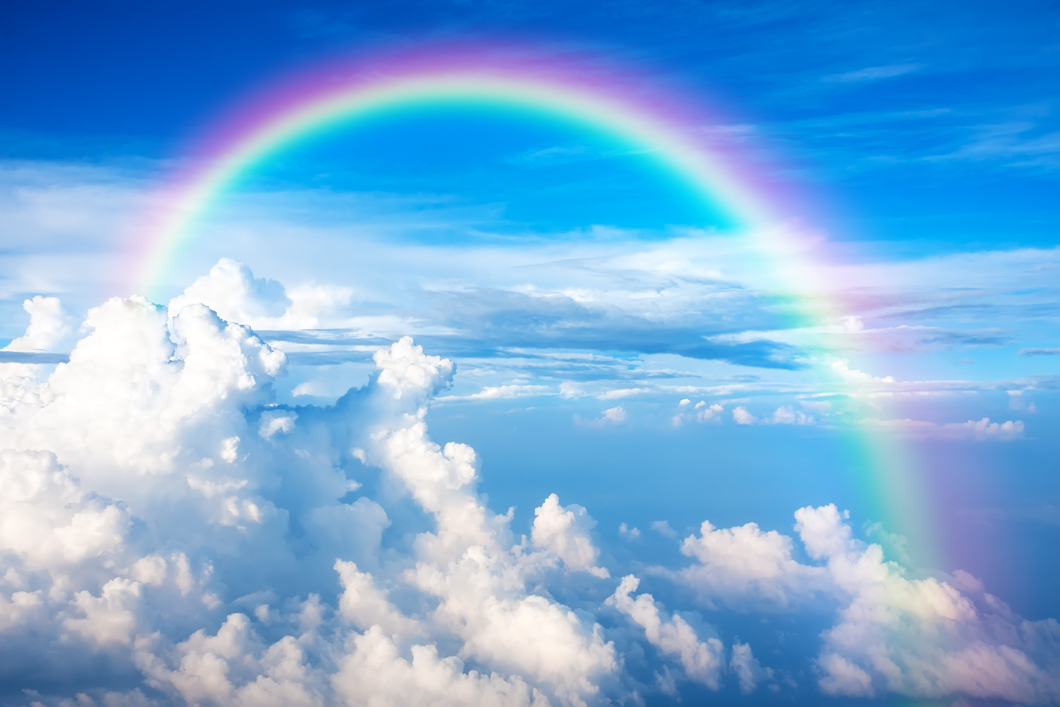 Ebern Designs Rainbow - Wrapped Canvas Photograph | Wayfair