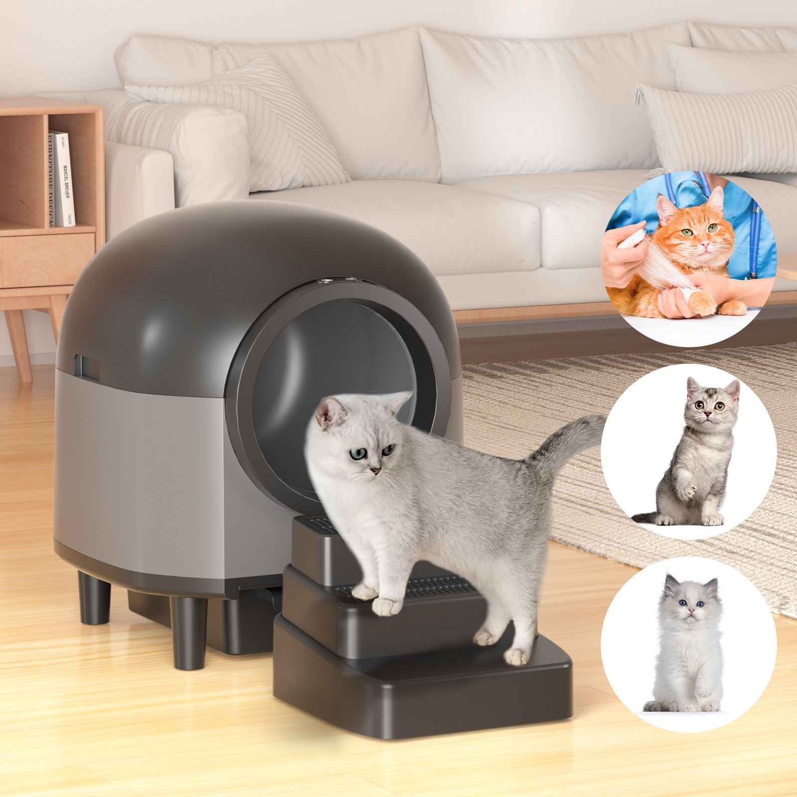 Shenzhen OMC Technology Co.,Ltd. Cat Litter Box Ramp | Wayfair