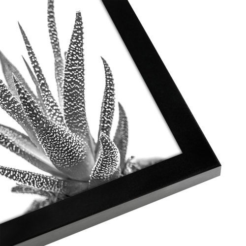 Black Picture Frames You'll Love | Wayfair