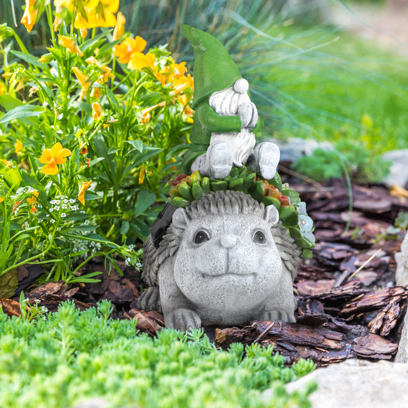 Arlmont & Co. Sefedin Hedgehogs Fairy Garden & Reviews | Wayfair