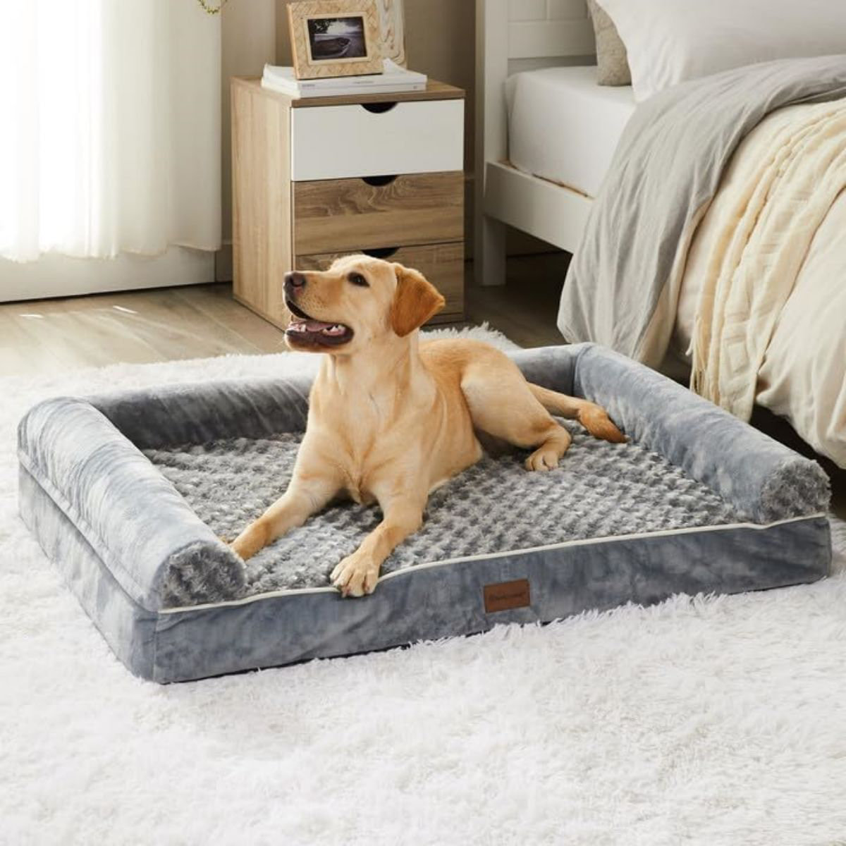 Tucker Murphy Pet™ Dog Beds For Large Dogs, Orthopedic Dog Bed For ...