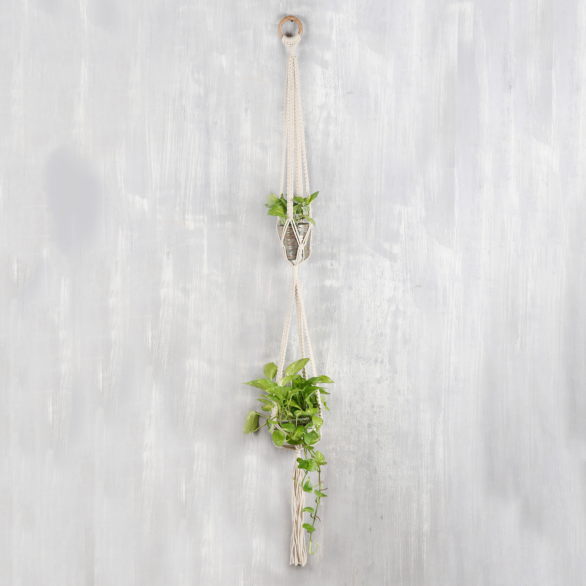 Dakota Fields Ceire 100% Cotton Hanging Planter | Wayfair