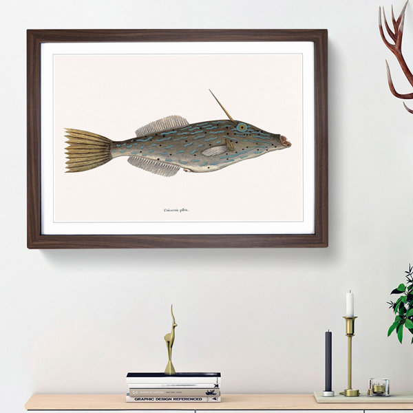 East Urban Home Bahama Unicorn Fish by Mark Catesby - Picture Frame ...