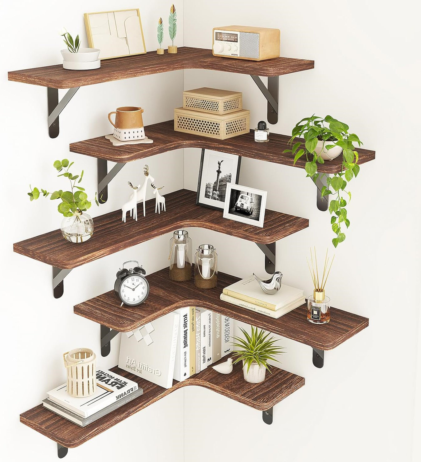 17 Stories Forcalquier Wood Floating Shelf | Wayfair