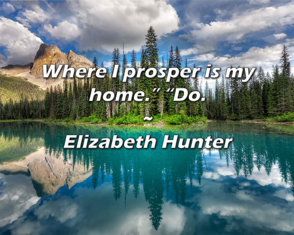 Trinx Elizabeth Hunter Quote: Where I prosper is my home. | Wayfair