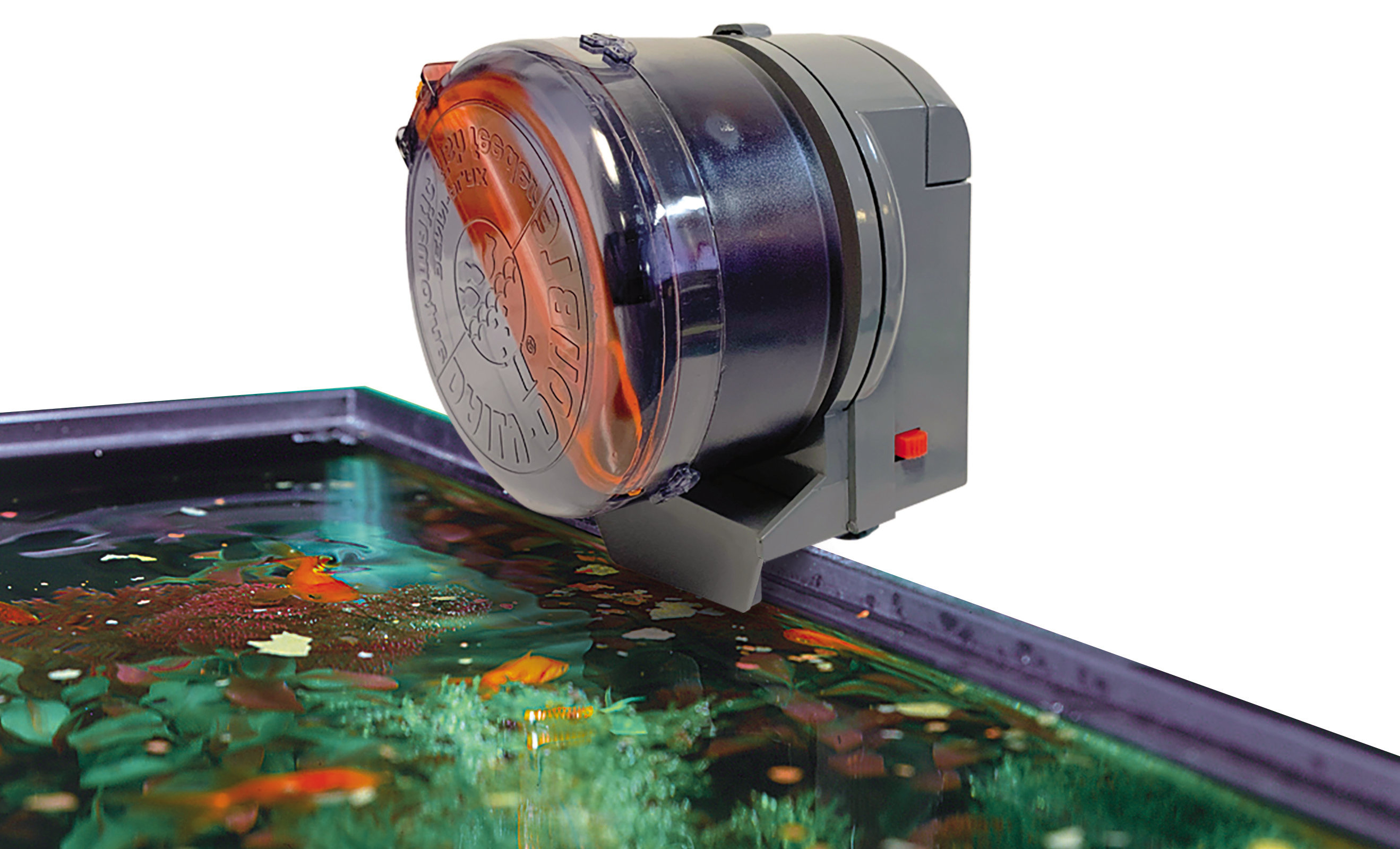 Penn Plax Daily-double Automatic Fish Feeder For Aquariums - Wayfair Canada