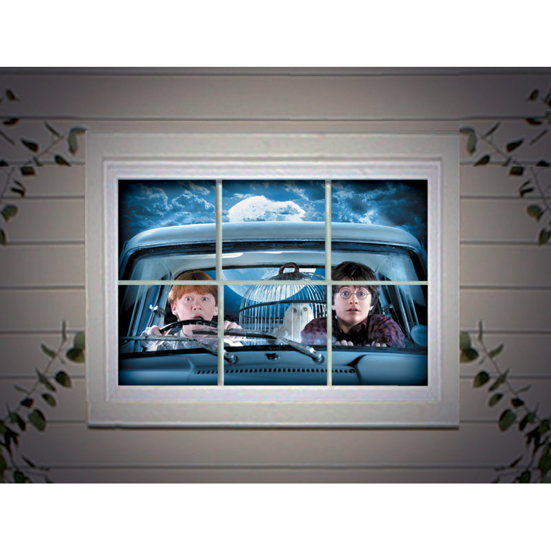 NA Harry Potter Harry Potter Harry & Ron Window Cover | Wayfair