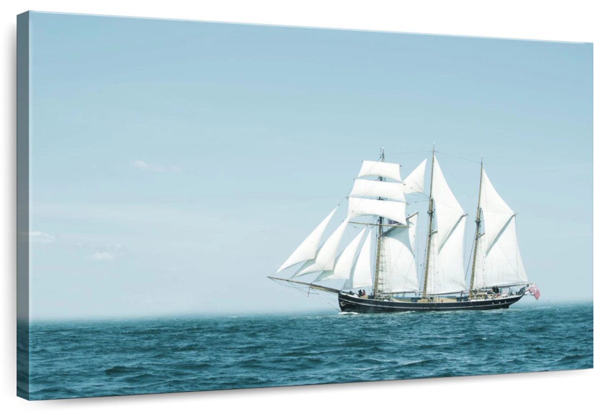 Ebern Designs Mehar Clipper | Wayfair