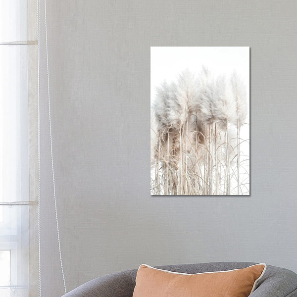 Brayden Studio Pampas Grass I By Magda Izzard - Wrapped Canvas Graphic ...