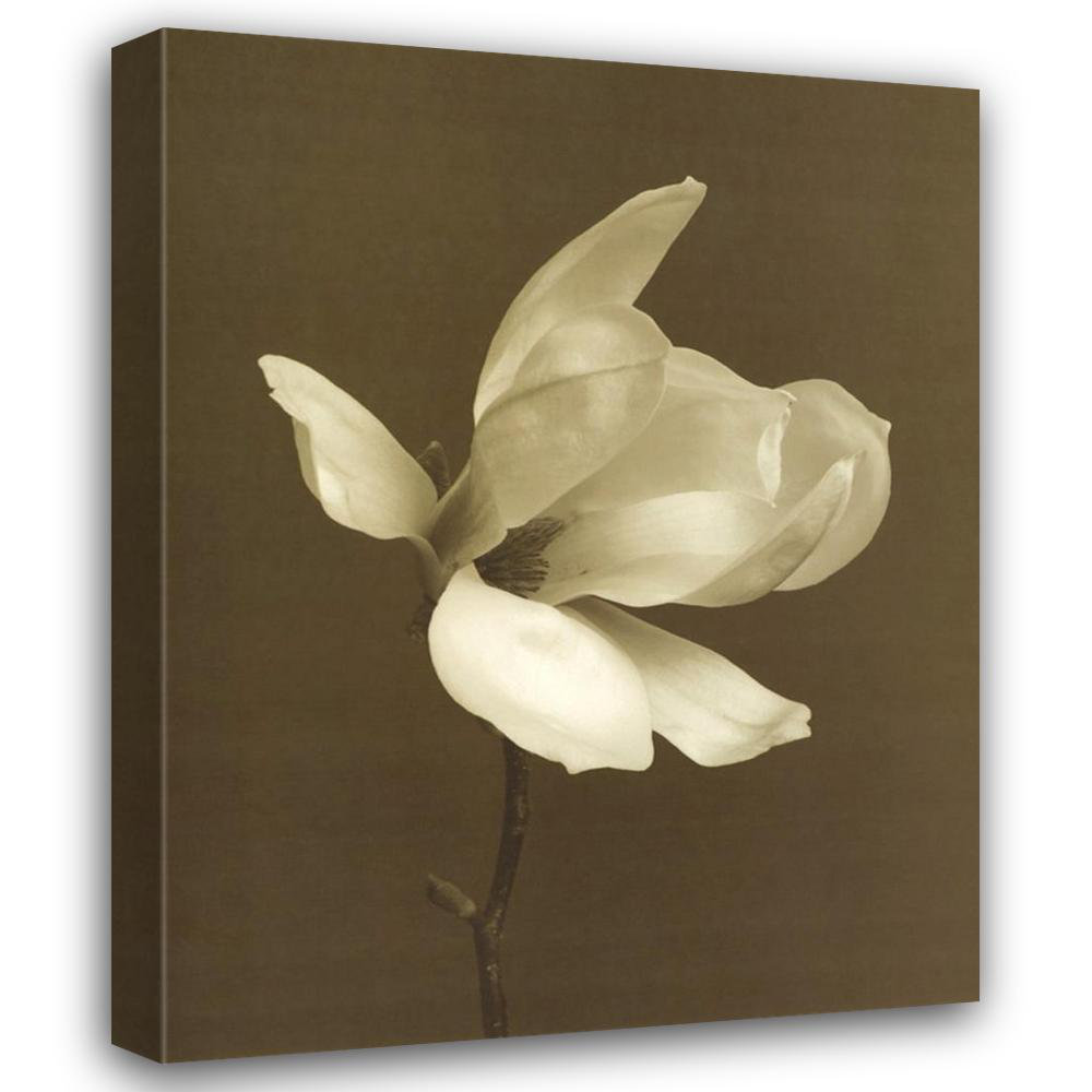 Latitude Run® White Magnolia Flower IMA-40512 | Wayfair